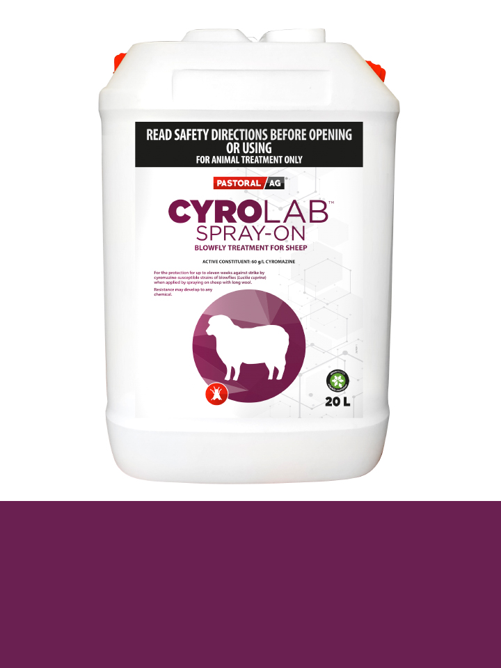 Cyrolab™ Spray-On Blowfly Treatment for Sheep – Pastoral Ag