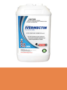 Cattle – Pastoral Ag