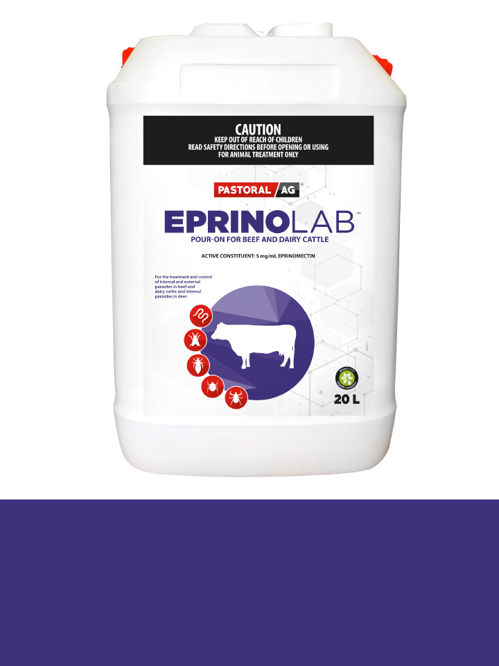 Cattle – Pastoral Ag