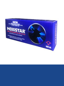 Cattle – Pastoral Ag