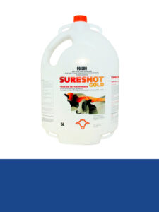 Cattle – Pastoral Ag