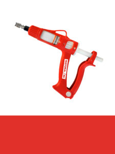 Cattle – Pastoral Ag