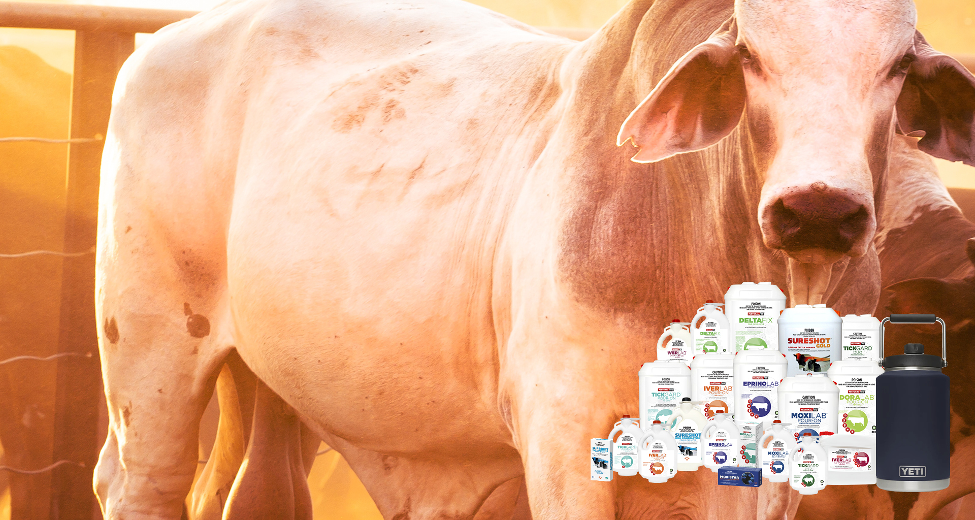 Pastoral Ag – Committed to Australian Farmers