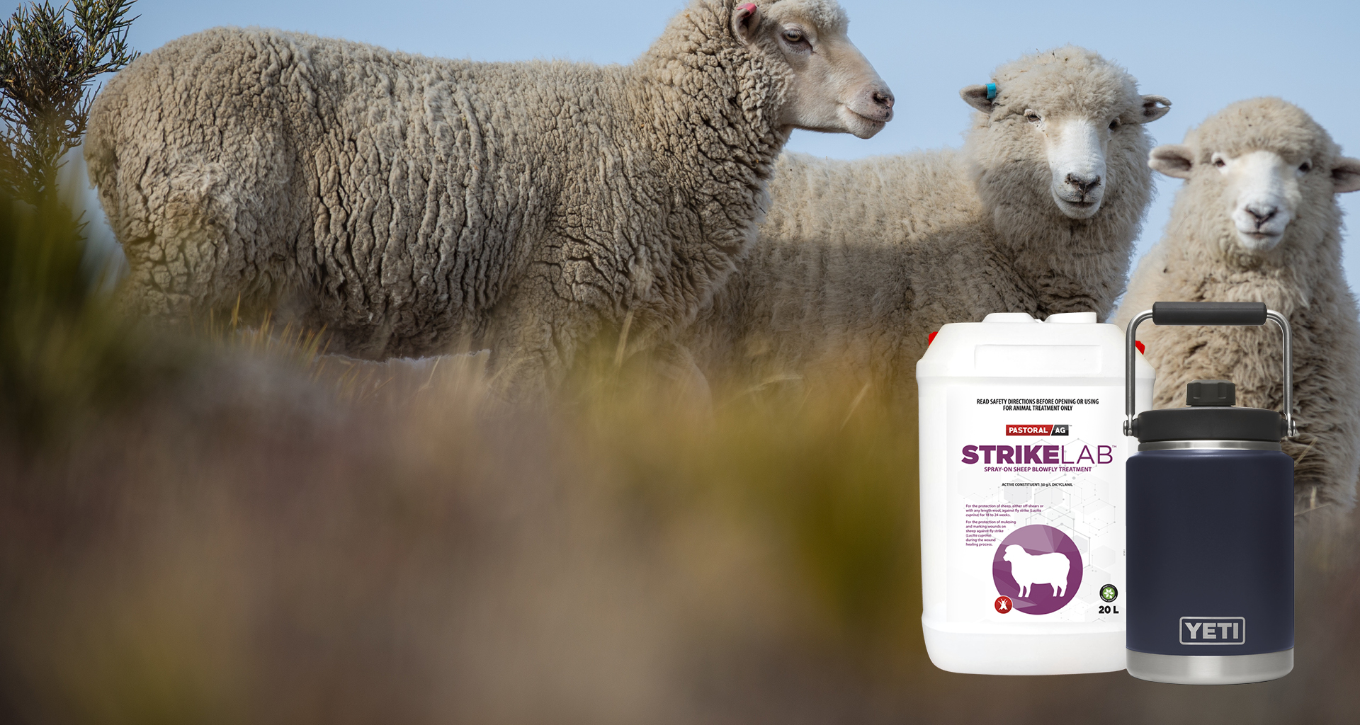 Pastoral Ag – Committed to Australian Farmers