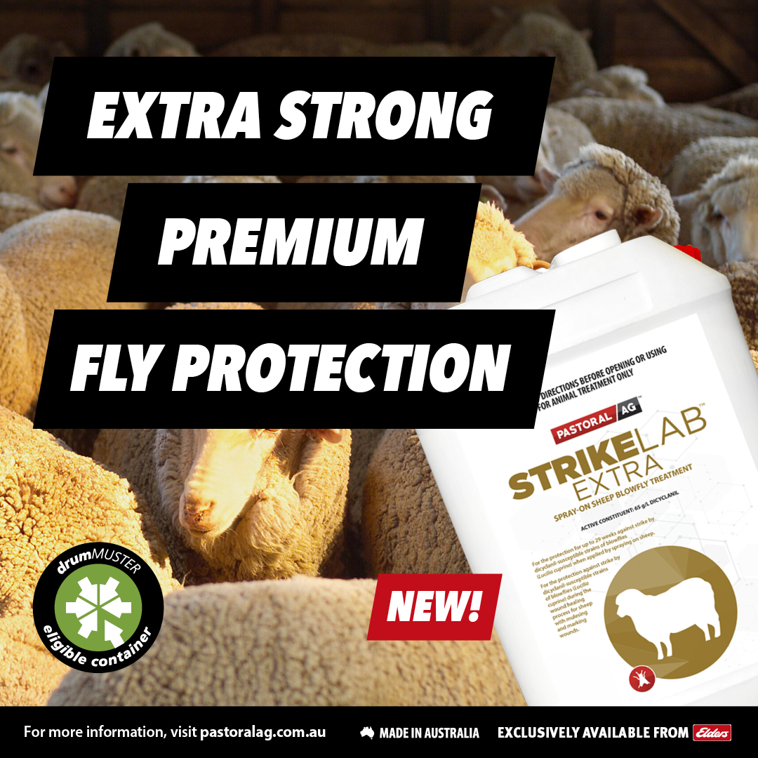 STRIKELAB EXTRA SPRAY-ON SHEEP BLOWFLY TREATMENT – Pastoral Ag