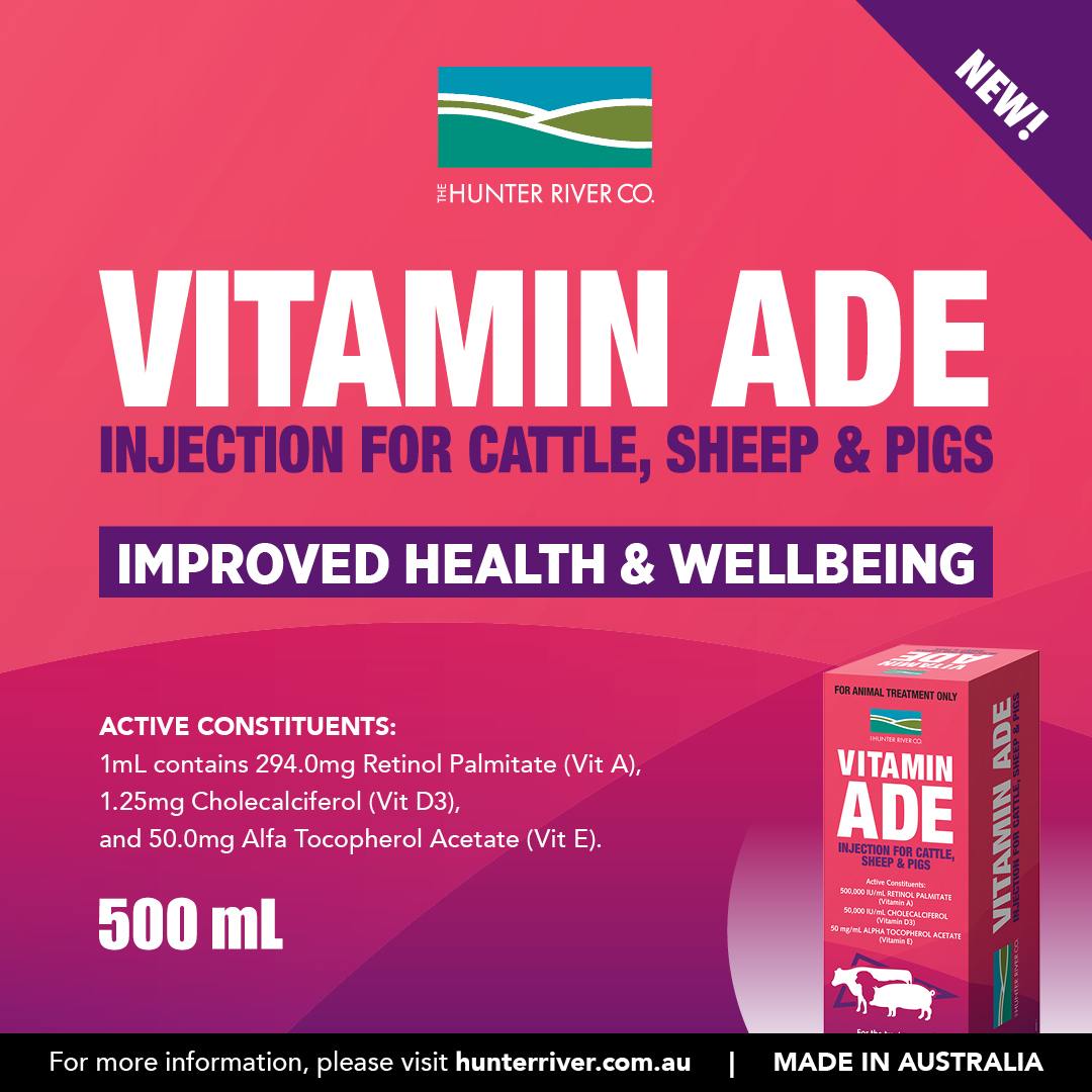 VITAMIN ADE INJECTION FOR CATTLE, SHEEP & PIGS – Pastoral Ag