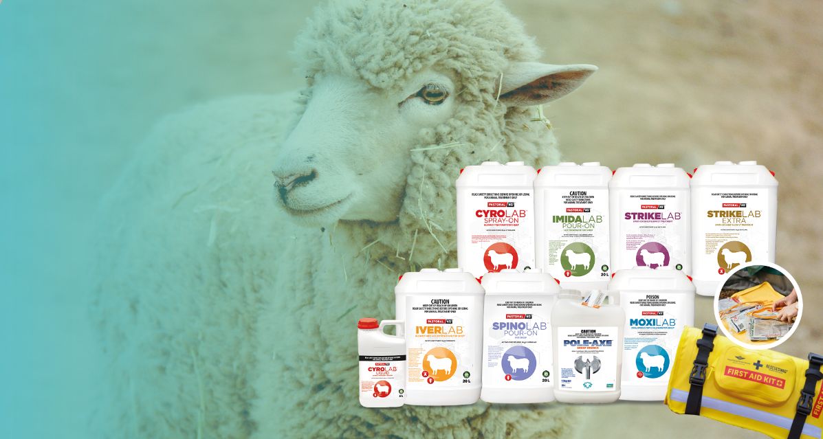 Pastoral Ag – Committed to Australian Farmers