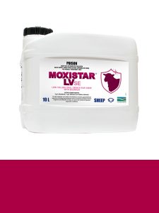 Sheep – Pastoral Ag